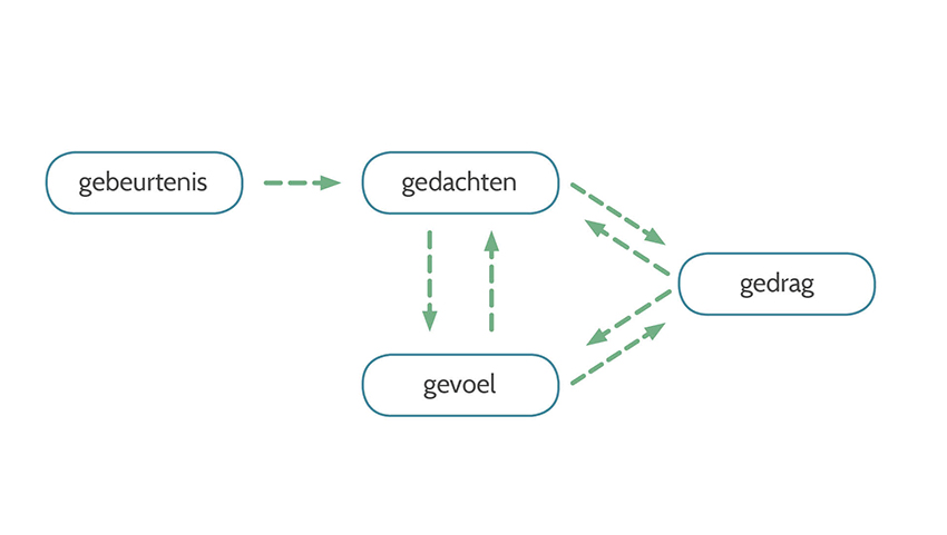 De 4 G's | Traject op maat